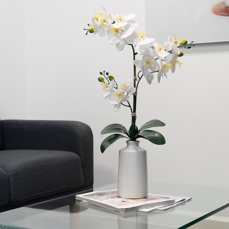 Dakota Fields 25" Natural Touch Tabletop Orchid | Wayfair