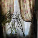 Kelly Clarkson Home Liebert Solid Semi-Sheer Tab Top Curtain Panel ...