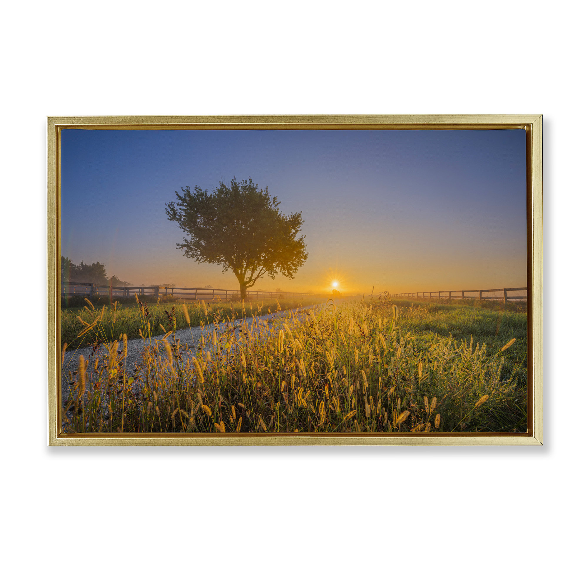 Winston Porter Rising Sun Horizon Floater Canvas by Marty Hulsebos ...