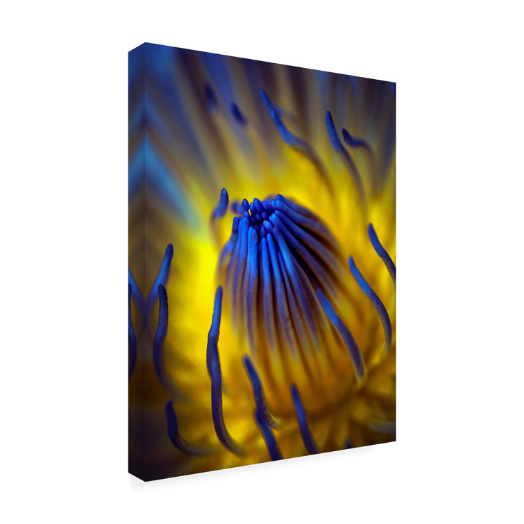 Ebern Designs " Blow Up " on Canvas | Wayfair