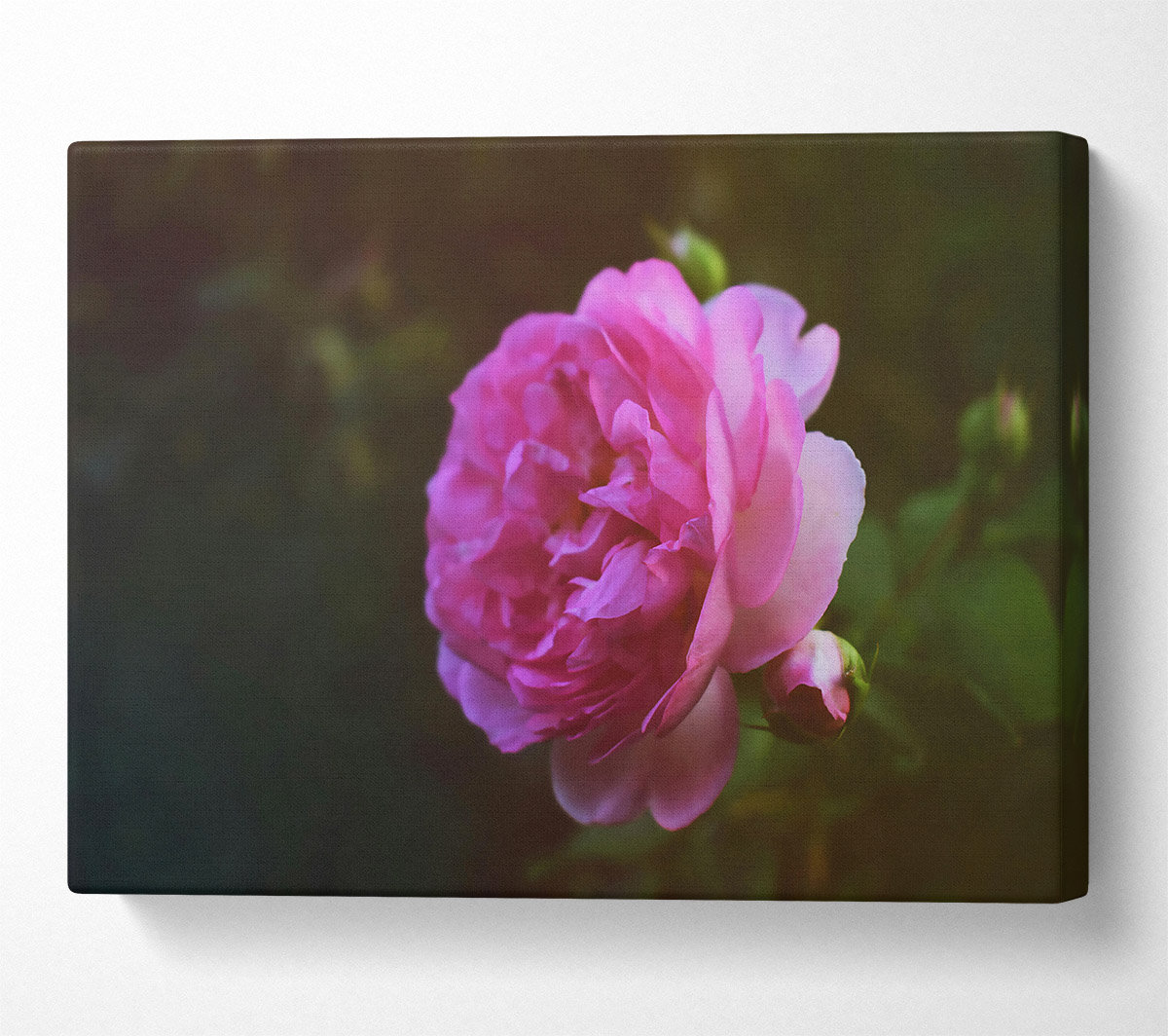 Lily Manor No Frame Print on Canvas | Wayfair.co.uk