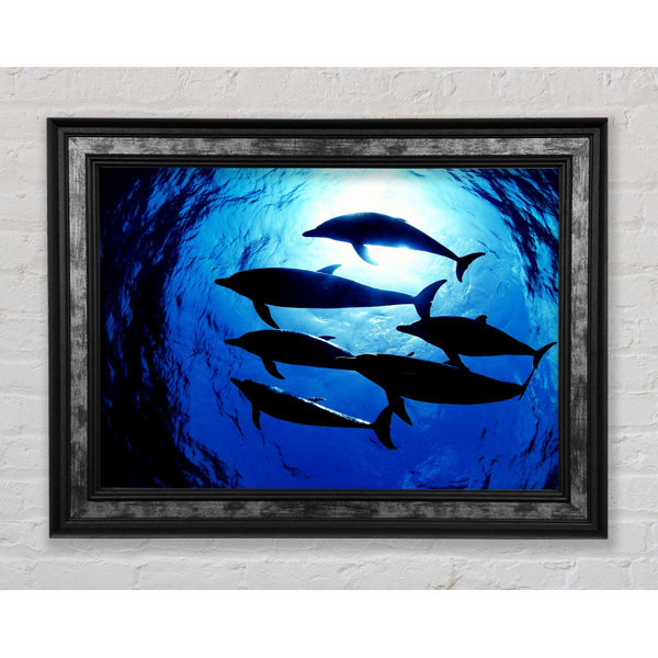 Bright Star Family Of Dolphins - Single Picture Frame Print | Wayfair.co.uk