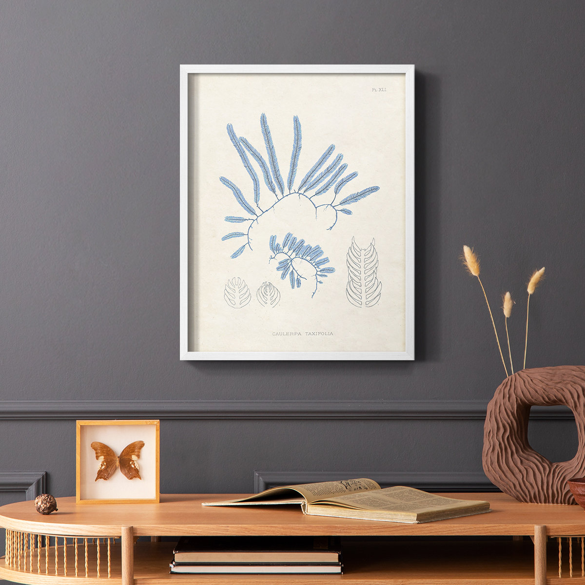 Highland Dunes Blue Marine Algae II Framed Print - Solid Wood | Wayfair