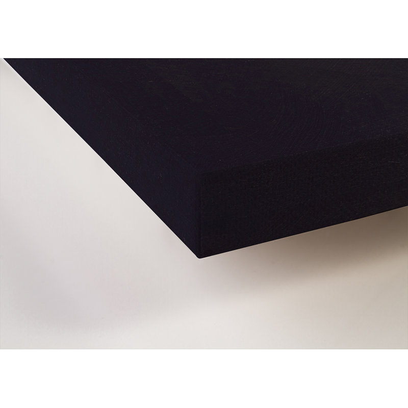 Millwood Pines Wild Salmon On Canvas by Eli Halpin Painting | Wayfair