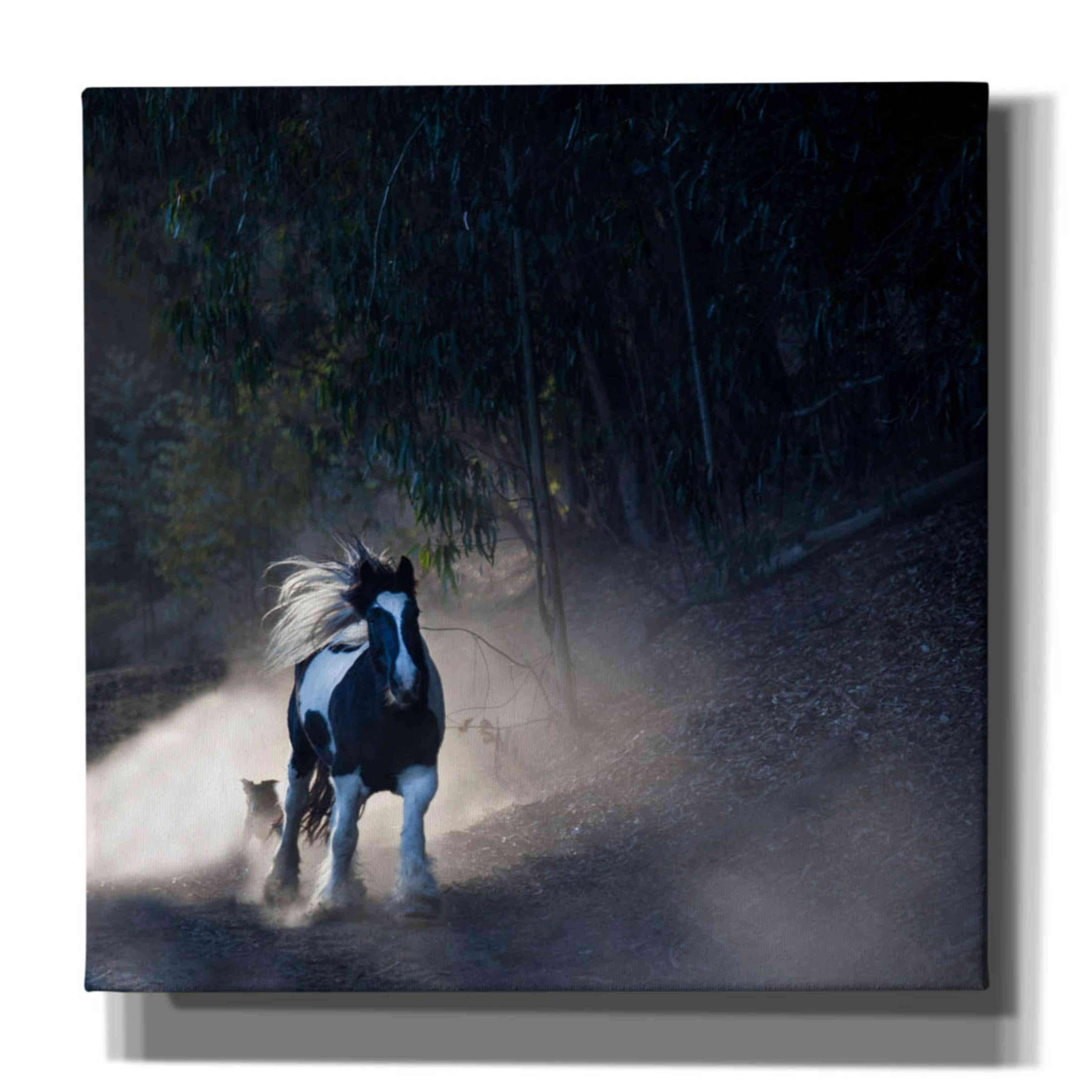 Union Rustic Epic Graffiti 'Felina 1' by Susan Friedman Felina 1 by ...