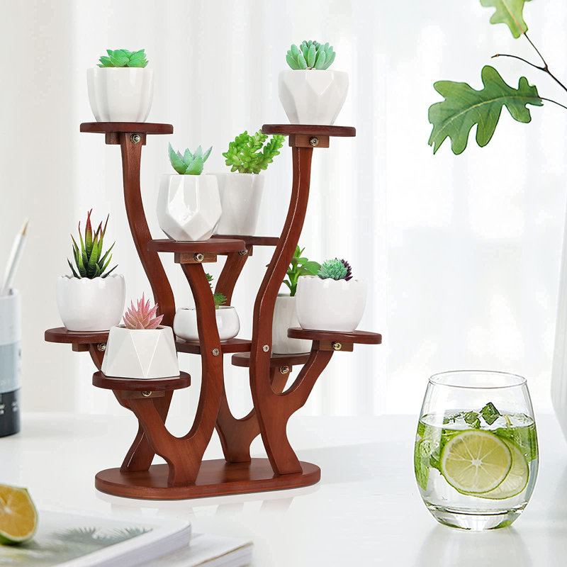 Lark Manor™ 9 Mini Succulent Plant Stands | Wayfair
