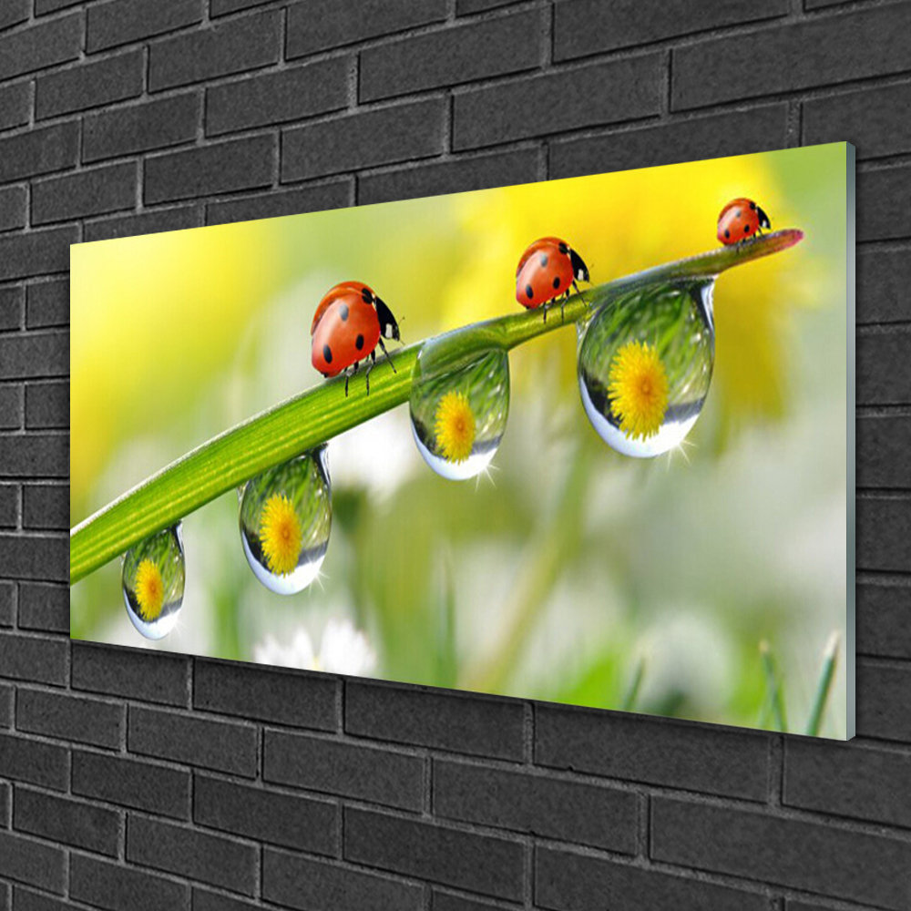 Brayden Studio Leaf Ladybug Dewdropfen - Unframed Photograph on Glass ...