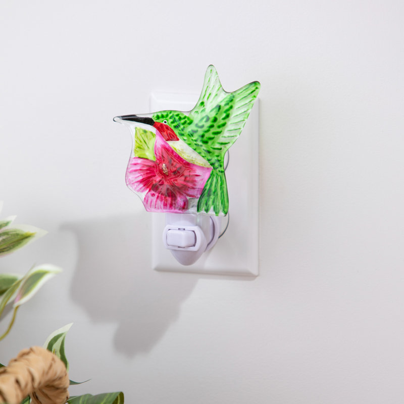 Evergreen Enterprises, Inc Glass Hummingbird Night Light | Wayfair