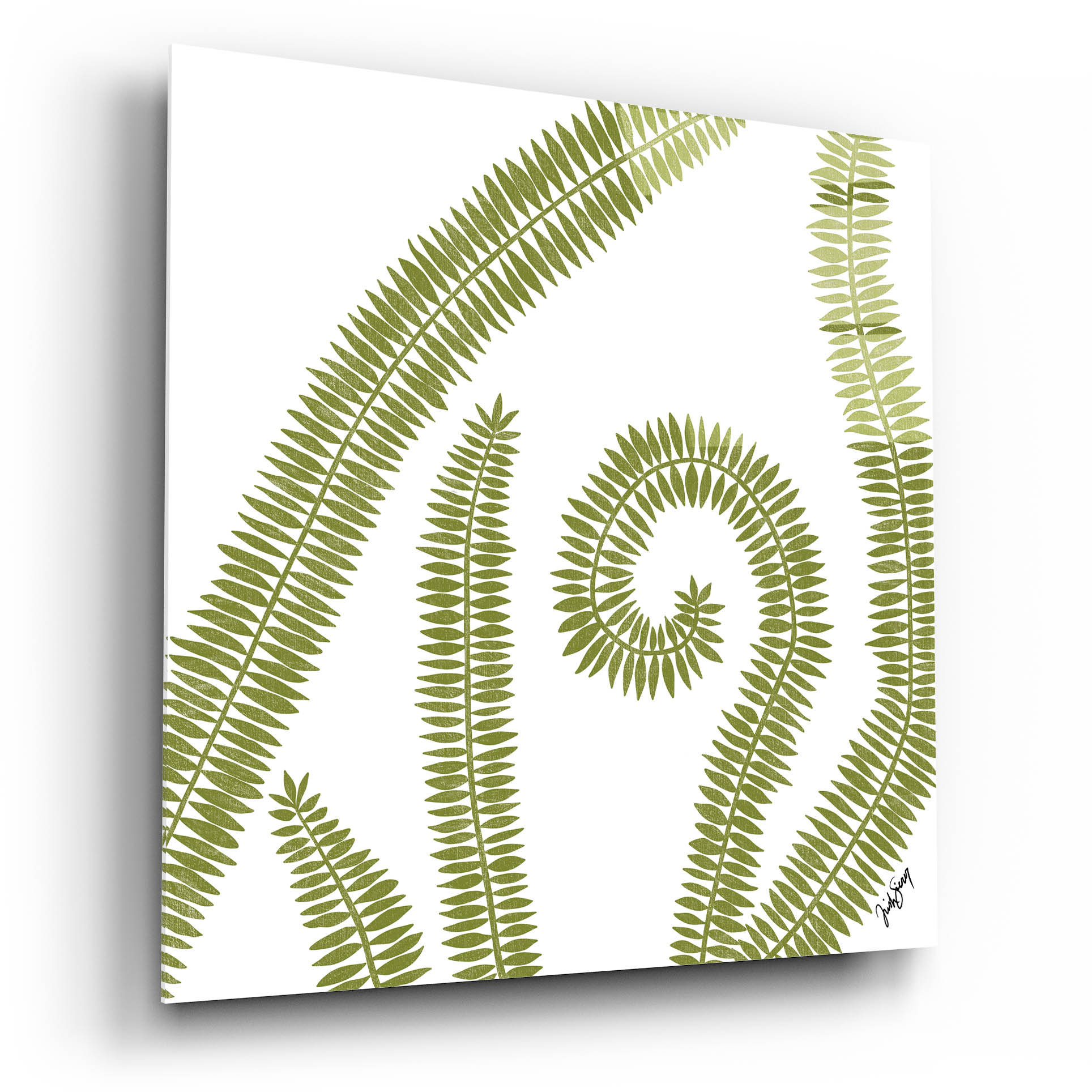 Winston Porter " Curly Fern " by Trish Sierer | Wayfair