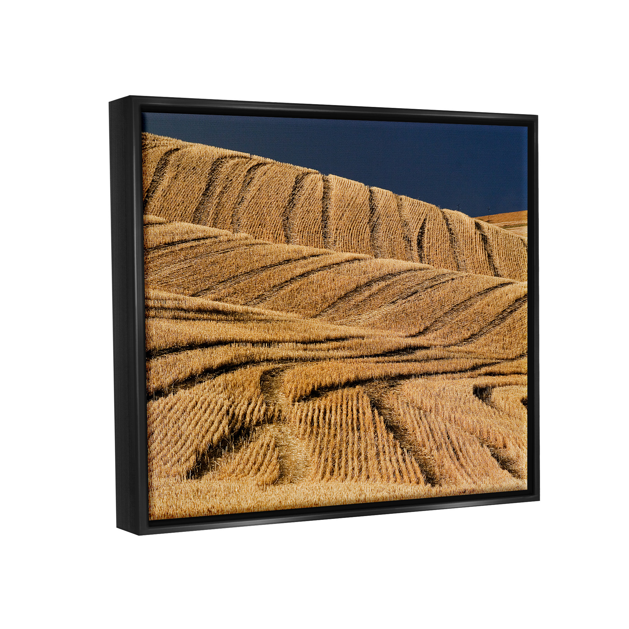 Union Rustic Wavy Cornfield Lines Vast Rural Field Framed On Canvas by ...