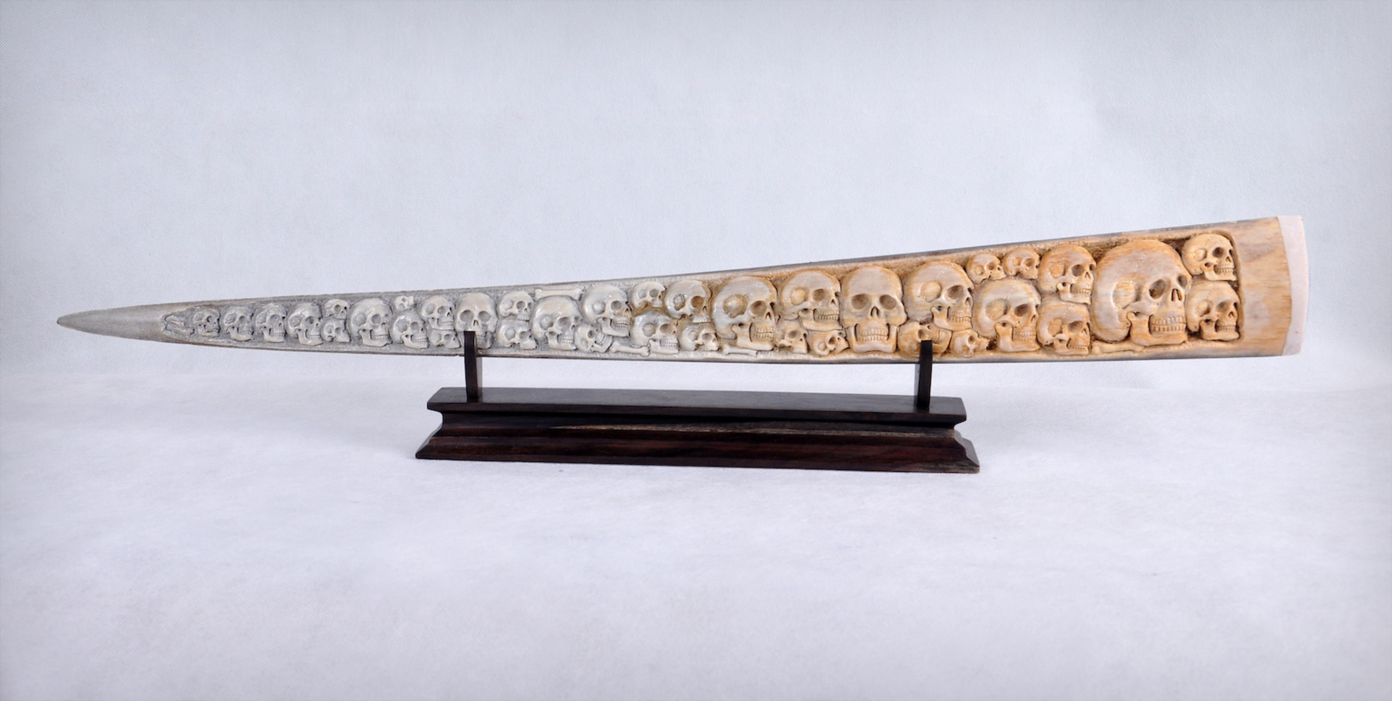 Trinx Genuine Swordfish Bill Marlin Hand Carved Skulls Nautical ...