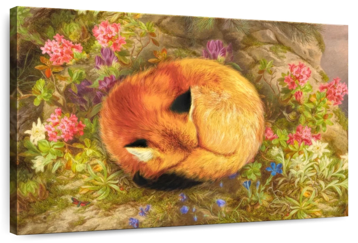 Ebern Designs The Cozy Fox | Wayfair