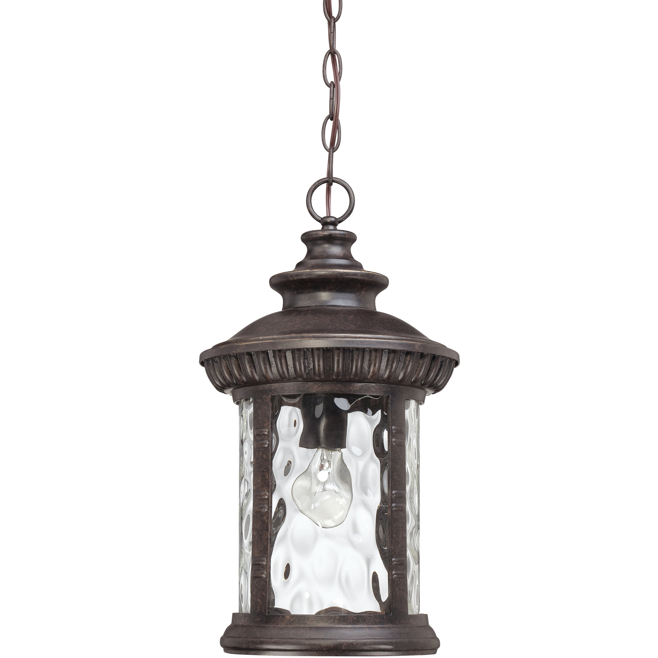 Astoria Grand Baxter 1-Light Outdoor Hanging Lantern - Wayfair Canada