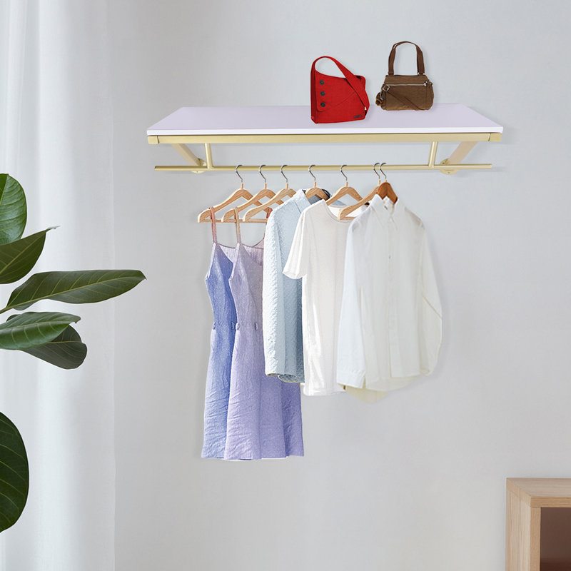 Mercer41 Fedella 31.49'' Metal Wall Mounted Clothes Rack | Wayfair