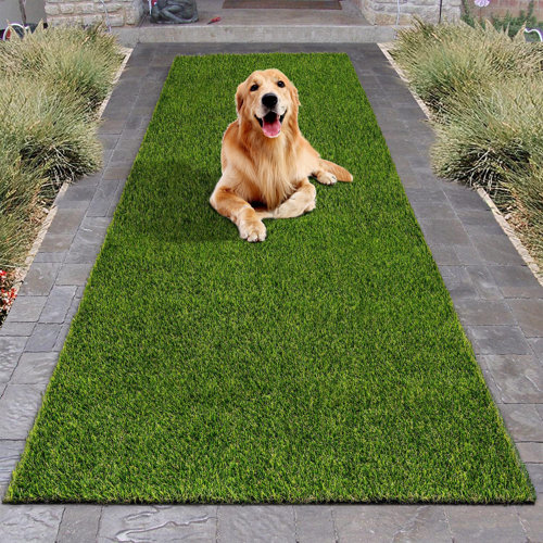 SHACOS Artificial Grass Turf Rugs and Rolls & Reviews | Wayfair