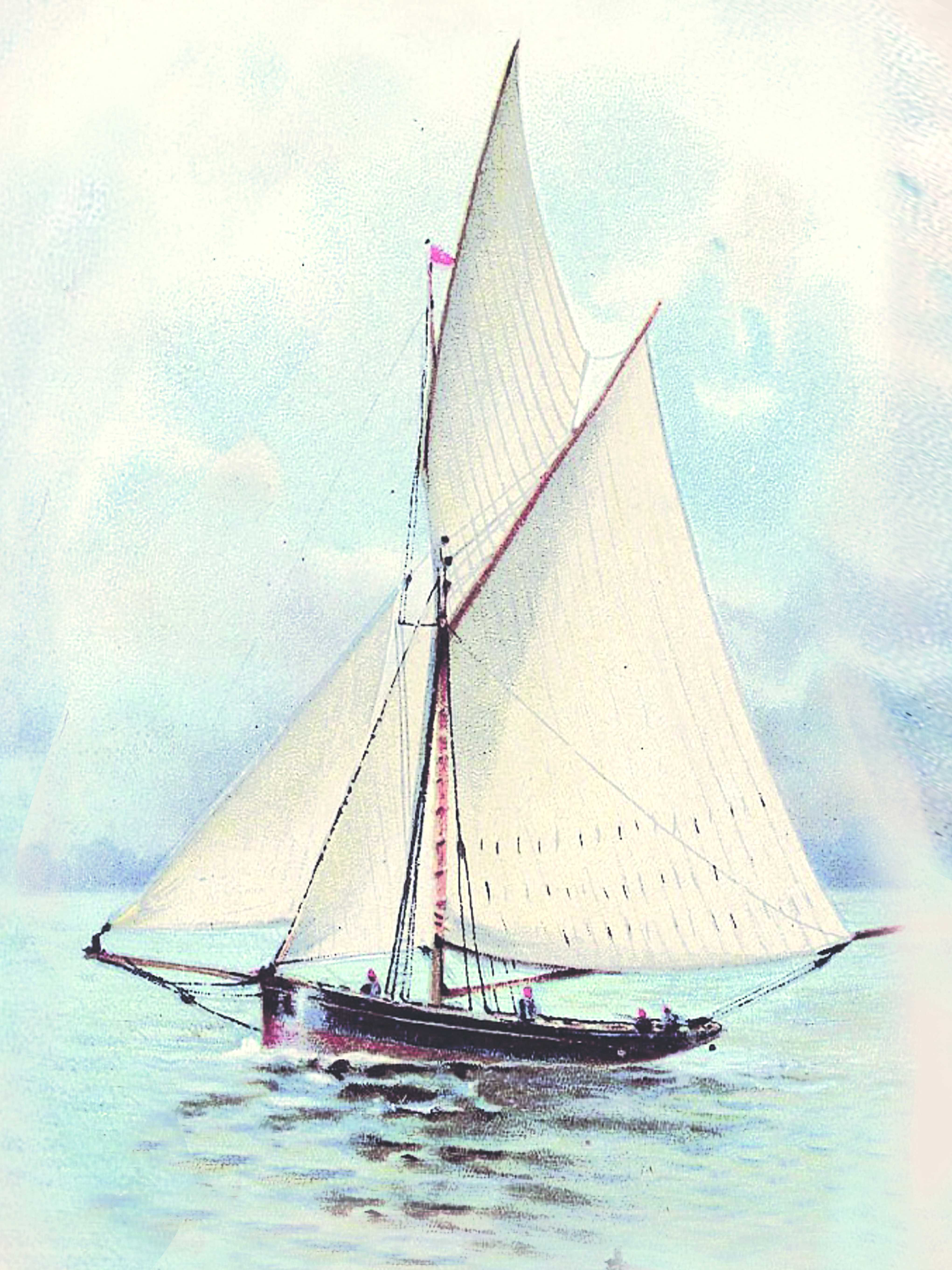 Longshore Tides Sail Home | Wayfair