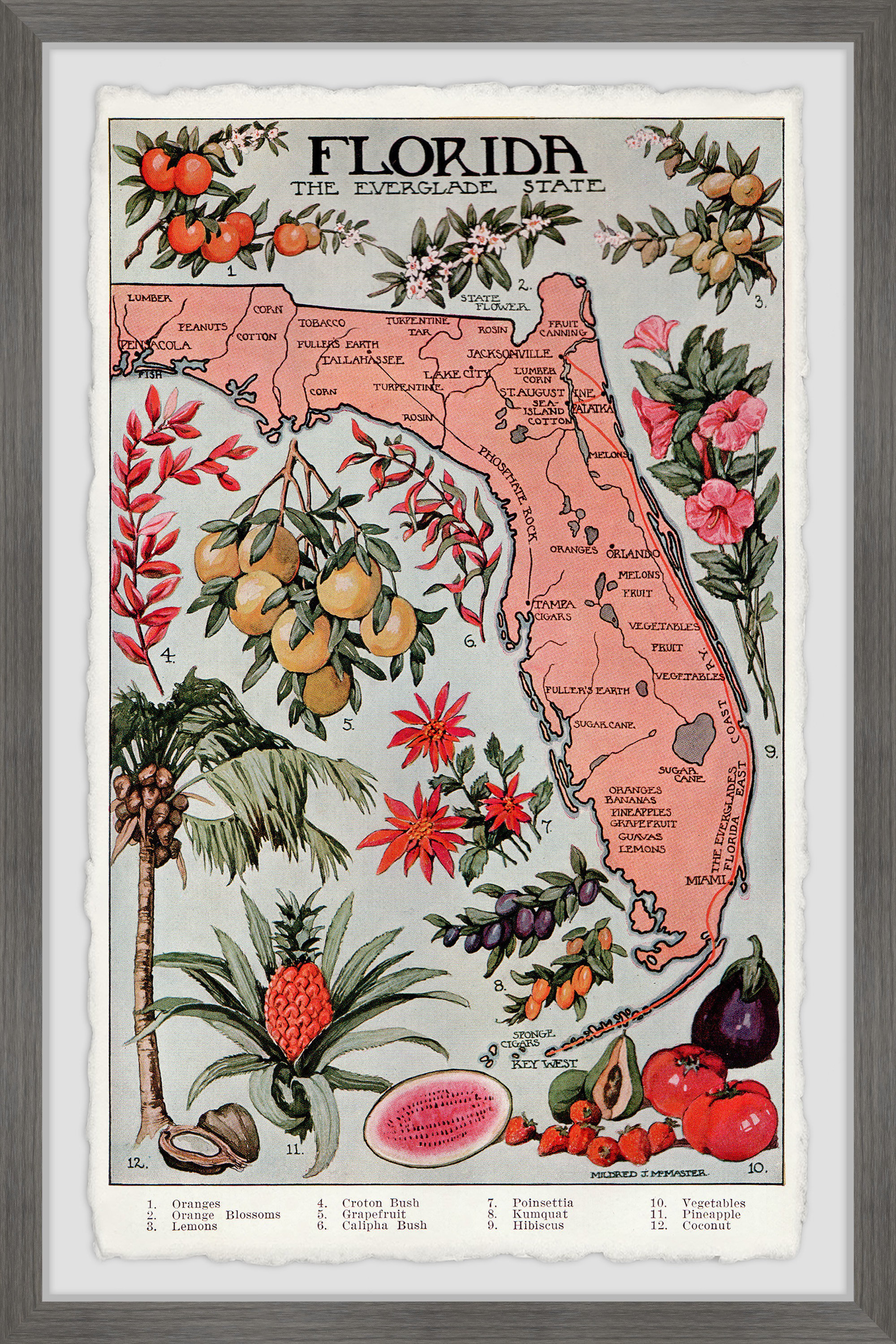 Bay Isle Home™ Florida, the Everglade State III - Picture Frame Graphic ...