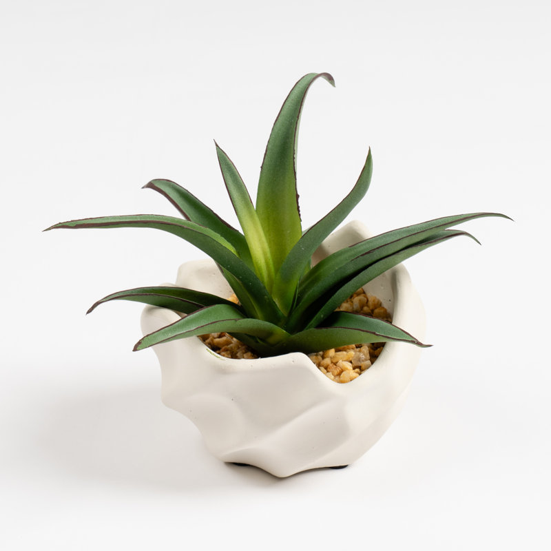 The Seasonal Aisle 16cm Spiky Faux Succulent in Wavy Cement Pot ...