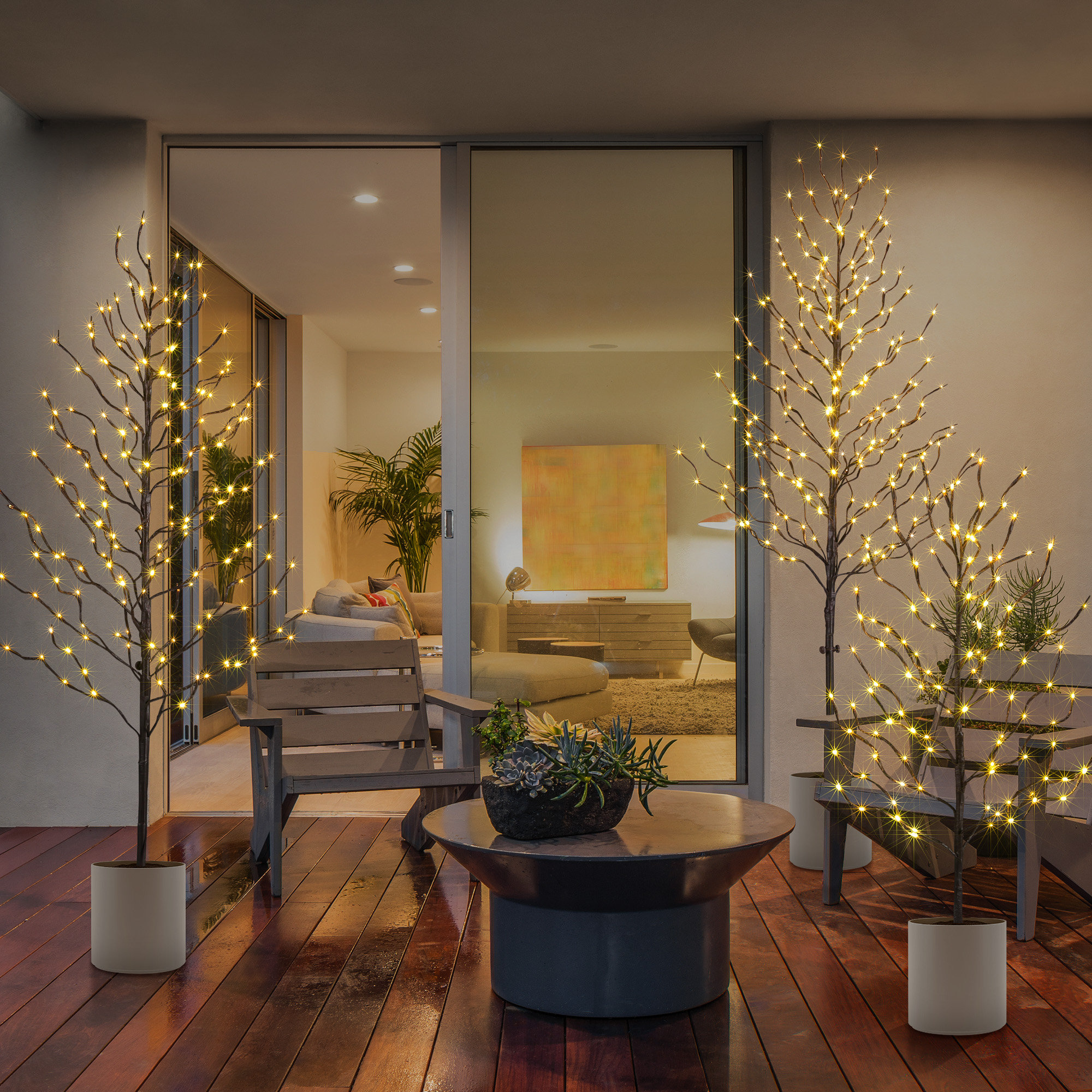 Primrue Set Of 3 Star Light Trees, Including 3 Feet, 5 Feet, And 6 Feet ...