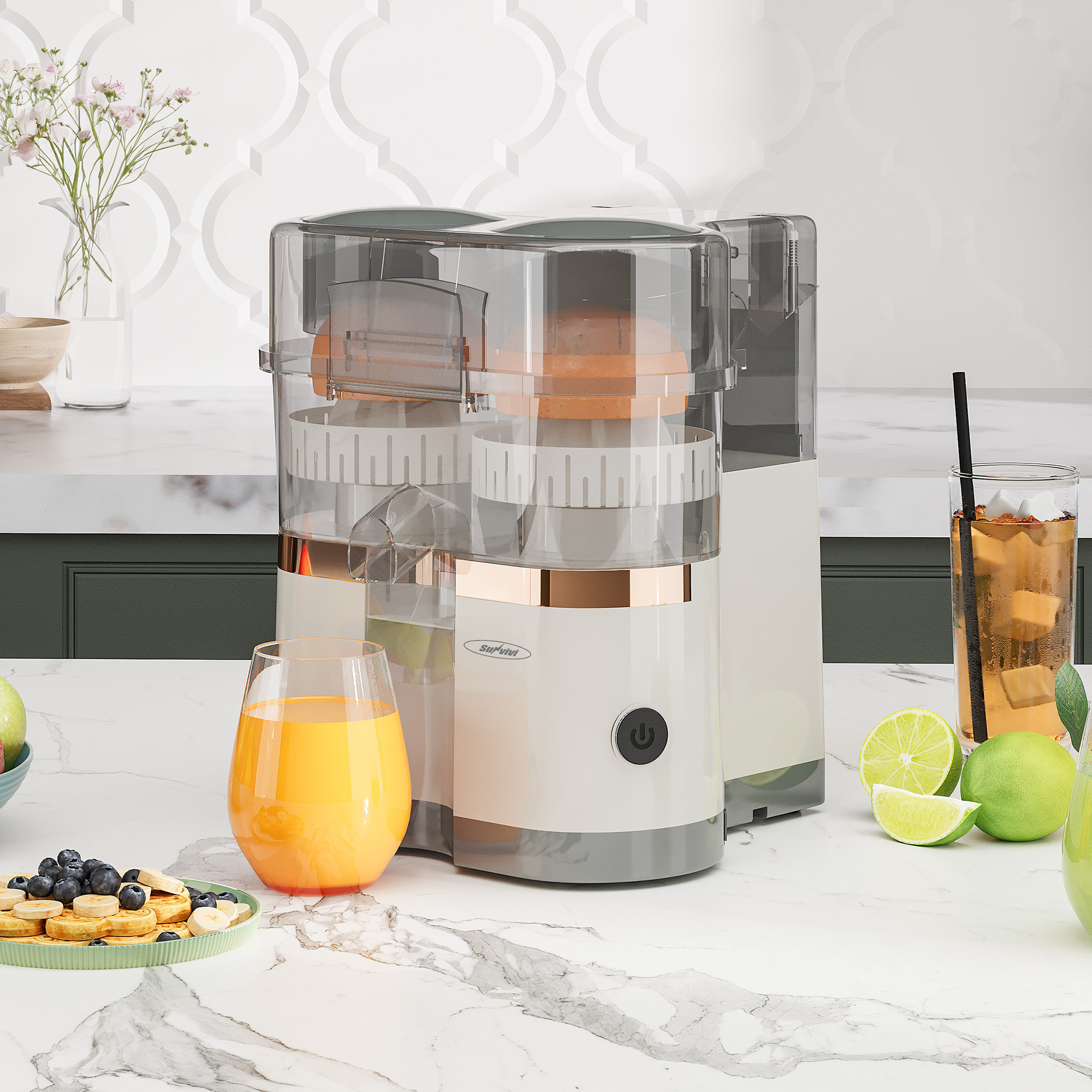 Green4ever Dual Head Electric Citrus Juicer, Plug-In Model Juicer ...