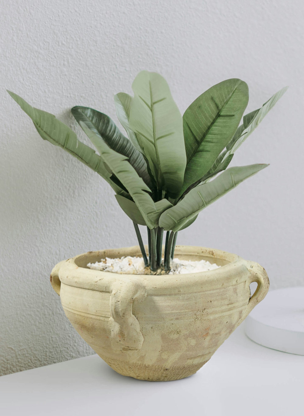 Ebern Designs Jahkobi Pot Planter | Wayfair
