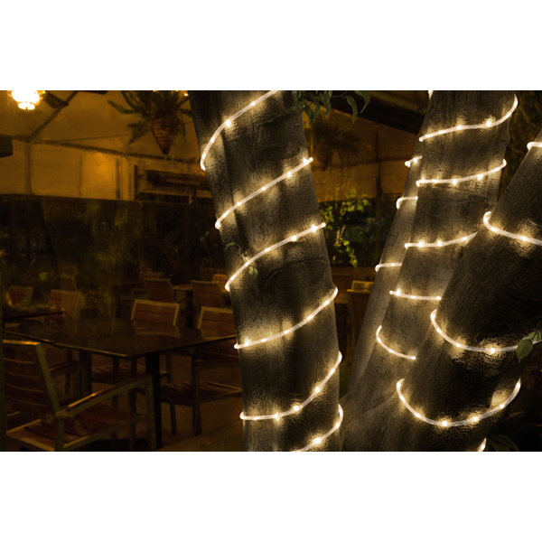 Arlmont & Co. Deerport Decor 16 ft. LED Rope Light - 108 LEDs All ...