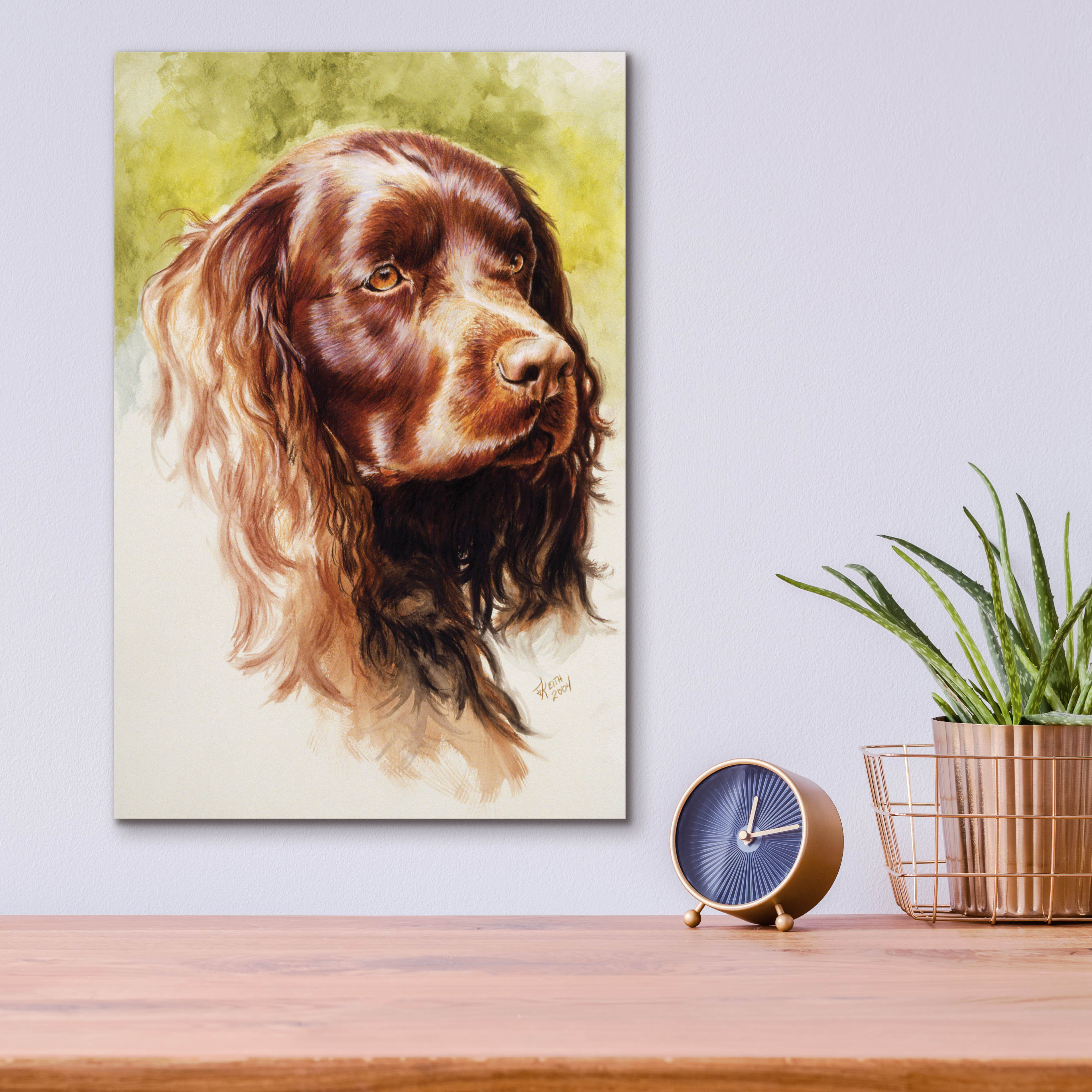 Red Barrel Studio Am Water Spaniel by Barbara Keith - Unframed Print ...
