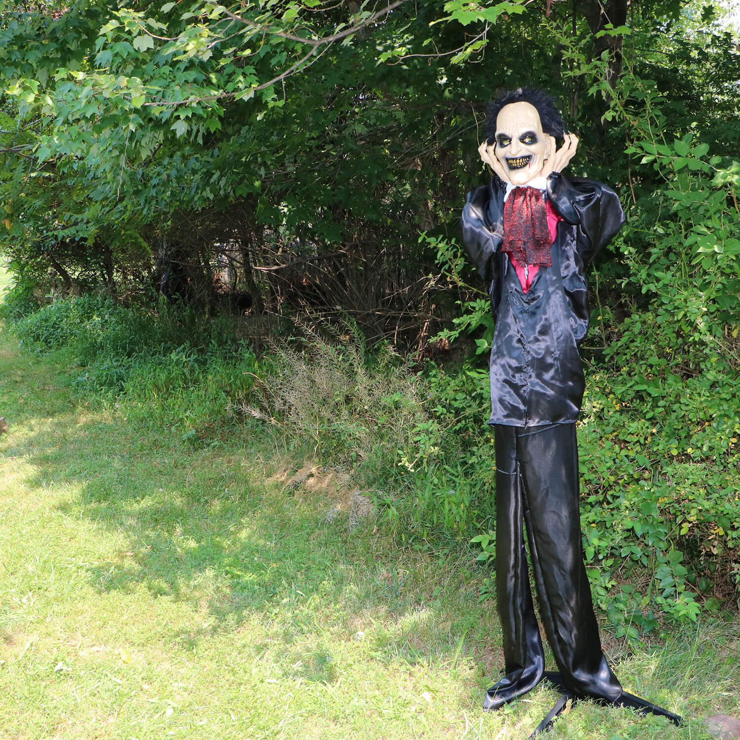 Haunted Hill Farm 5.6-ft. Standing Vampire, Indoor/Covered Outdoor ...
