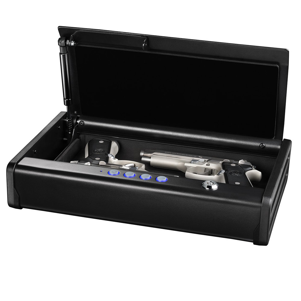 Sentry Safe SentrySafe 0.12 CuFt. Quick Access Dual Pistol Safe with ...