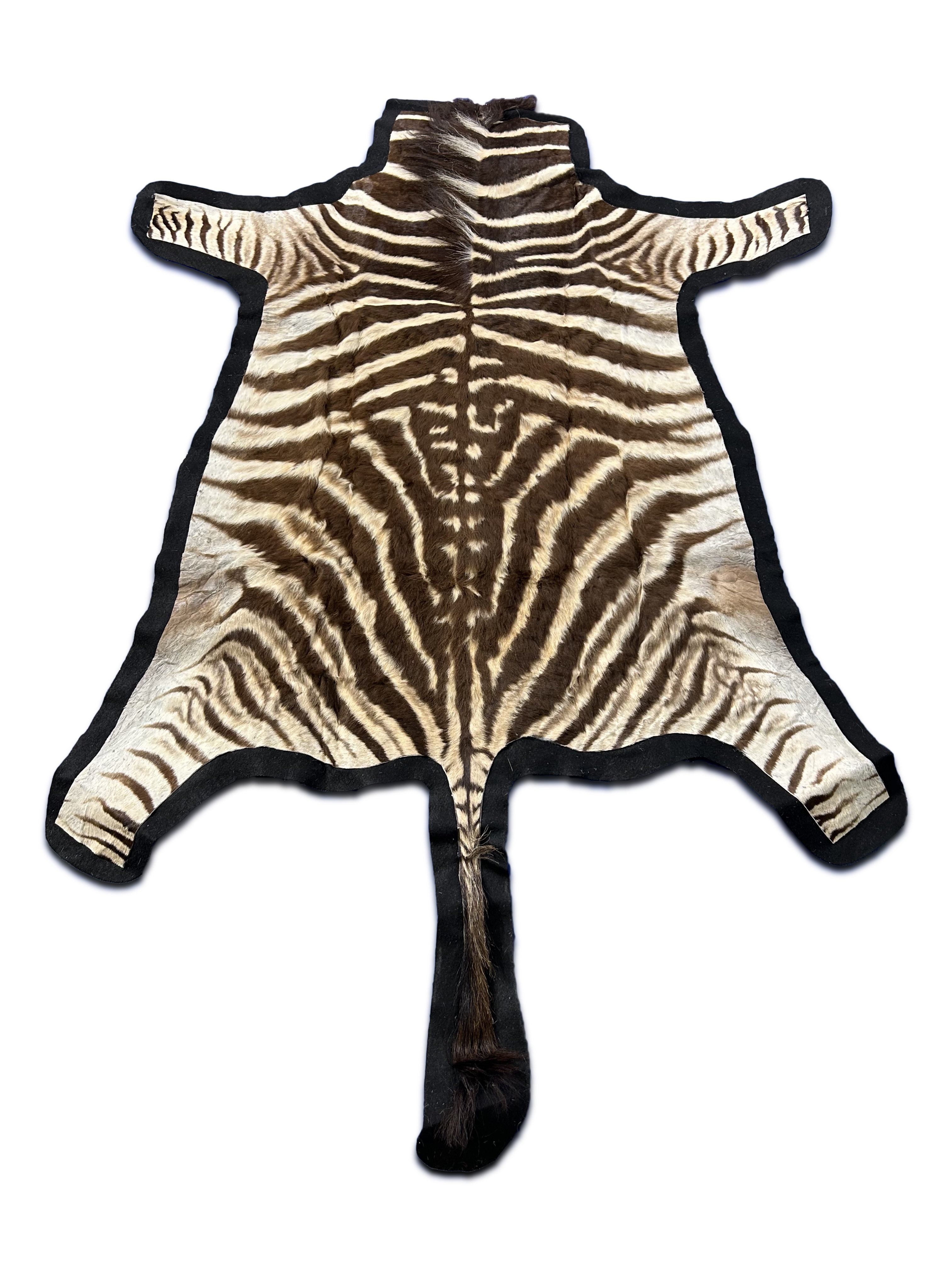 Bungalow Rose Real Zebra Skin Rug (Small Size) | Wayfair