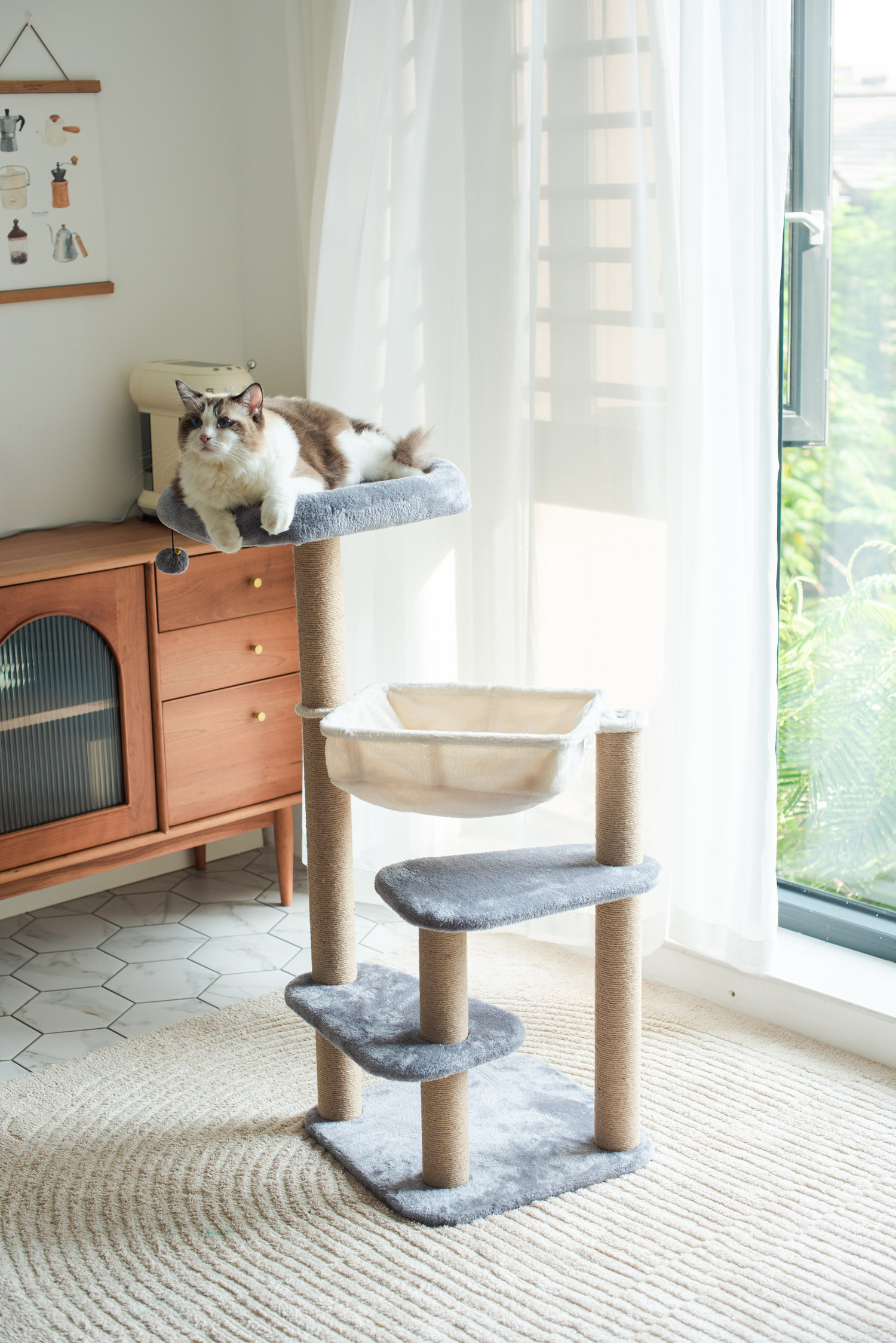 Catry 42" Cat Tree with Hammock and Scratching Post | Wayfair