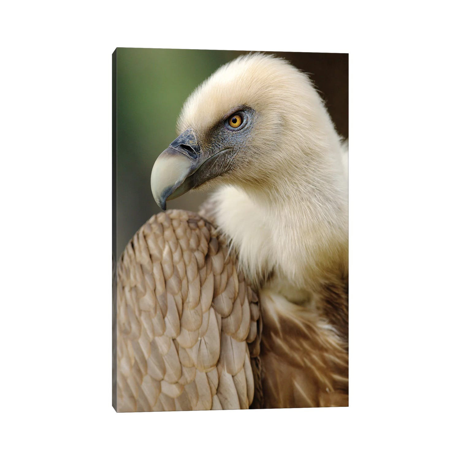 East Urban Home Griffon VII by Goran Anastasovski - Wrapped Canvas ...