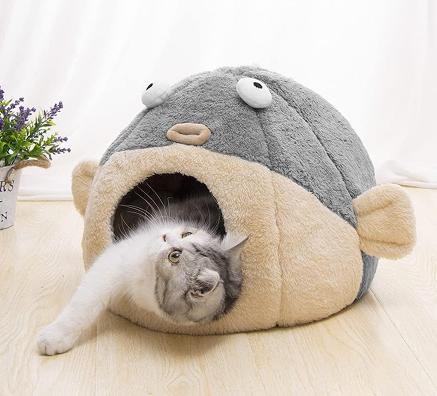 Tucker Murphy Pet™ Indoor Cat Bed,Soft and No Deformation Pet Bed with ...