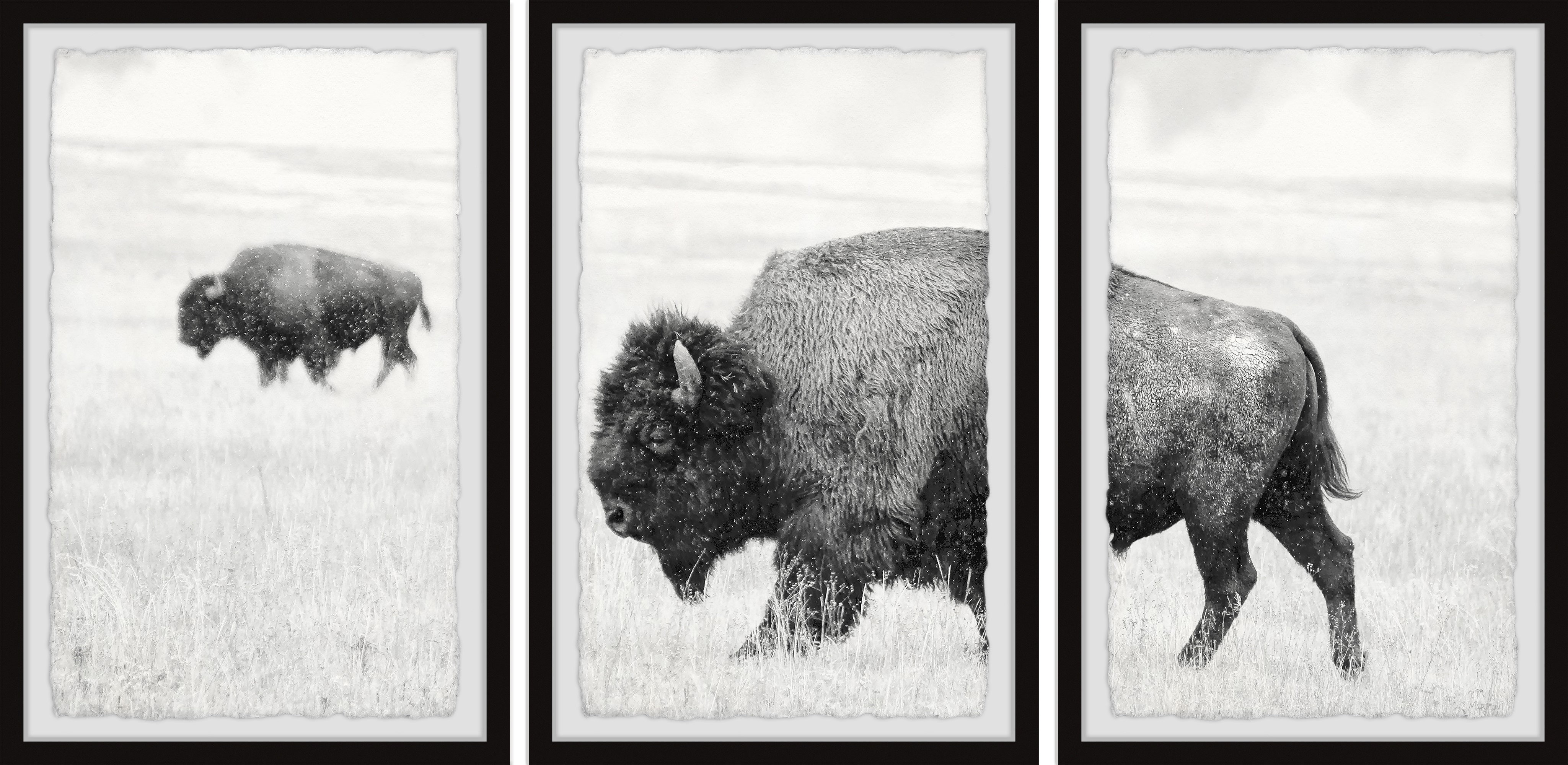 Natur Pur Andish Keep Moving - 3 Piece Picture Frame Photograph ...