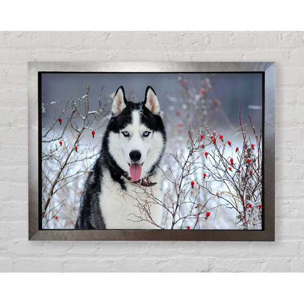 Bright Star Husky Dog In The Winter - Print | Wayfair.co.uk