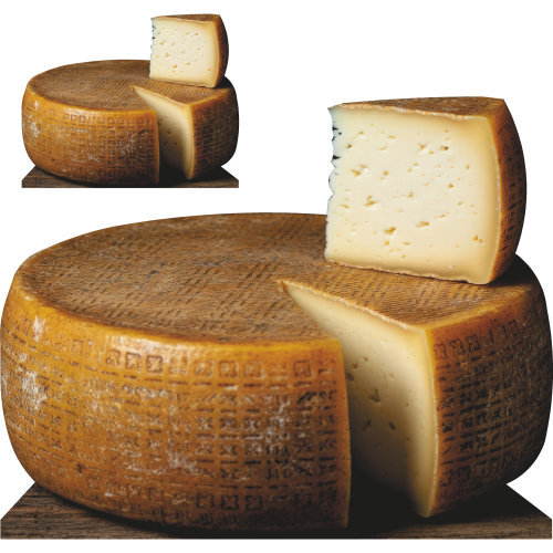 Wet Paint Printing SP13352 Whole Imported Cheese Wheel Blue Irish ...