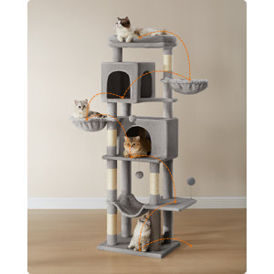 Archie & Oscar™ Cat Tree | Wayfair