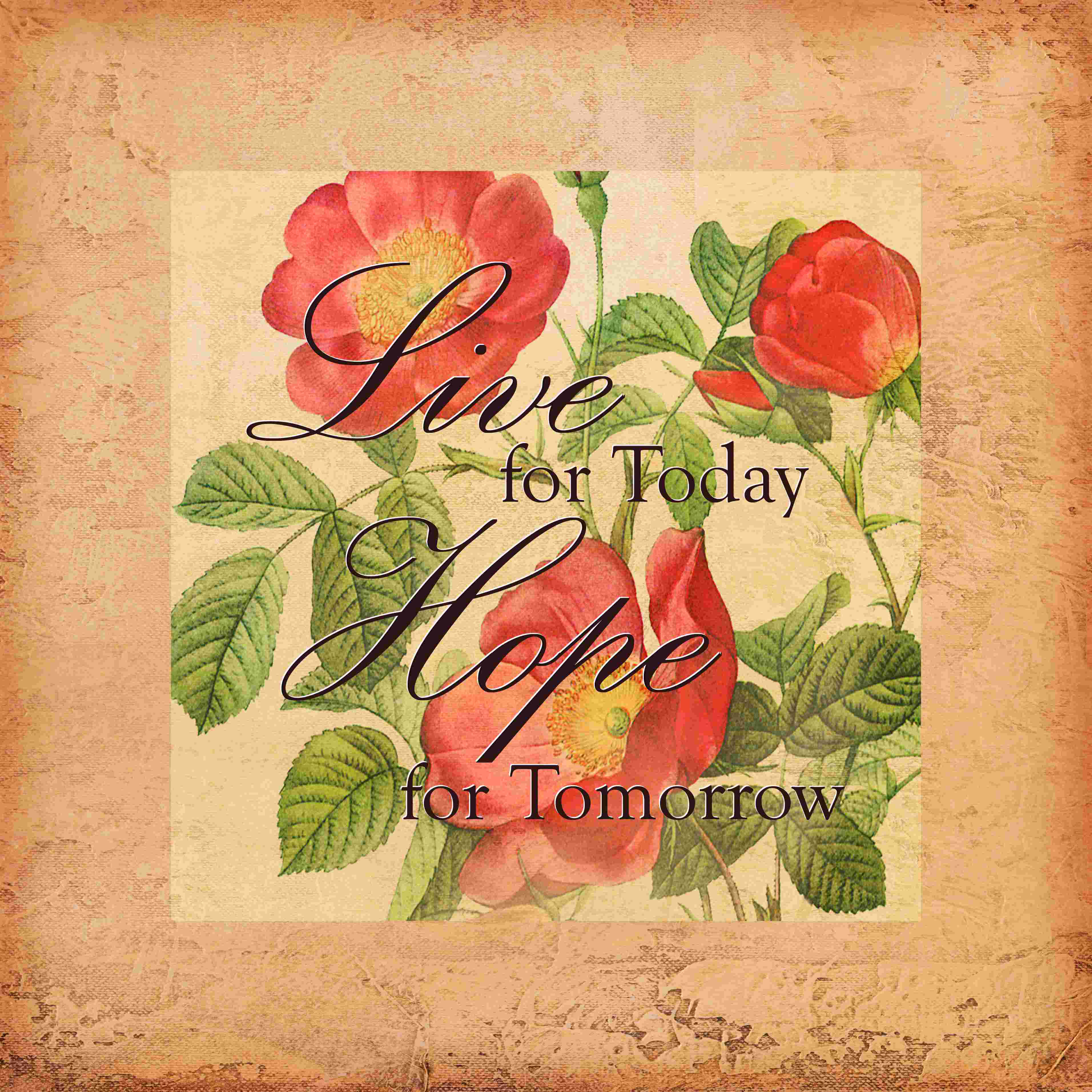 Winston Porter Live Hope Simple Floral - Wrapped Canvas Textual Art ...