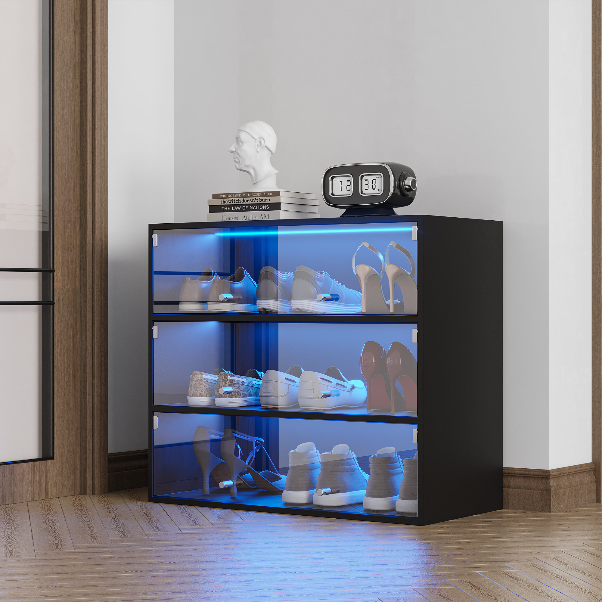 Ivy Bronx 3 Tiers Shoe Storage Cabinet with Glass Door & RGB Led Light ...
