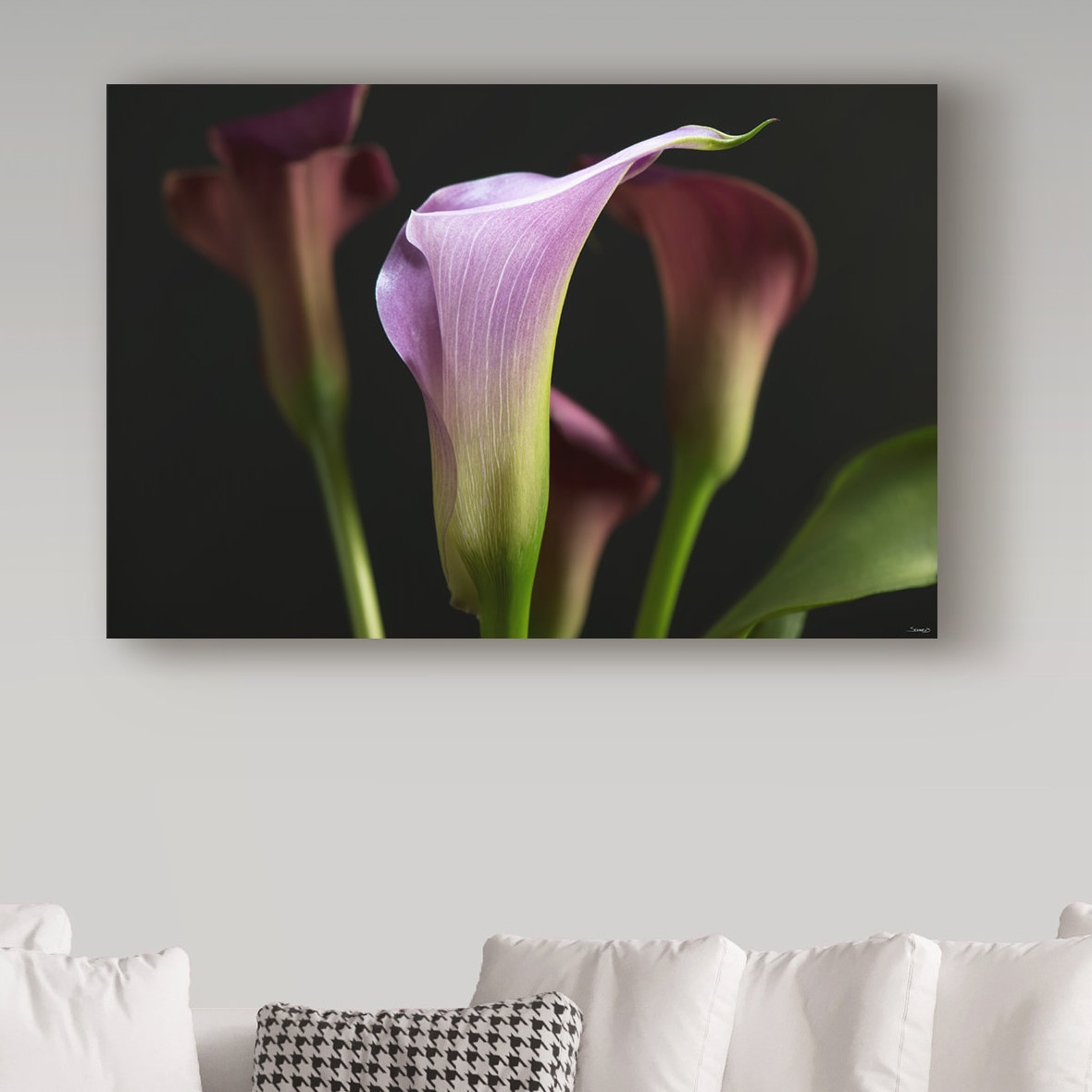 Hokku Designs Ailbe 'Thin Lily' Graphic Art Print on Wrapped Canvas ...