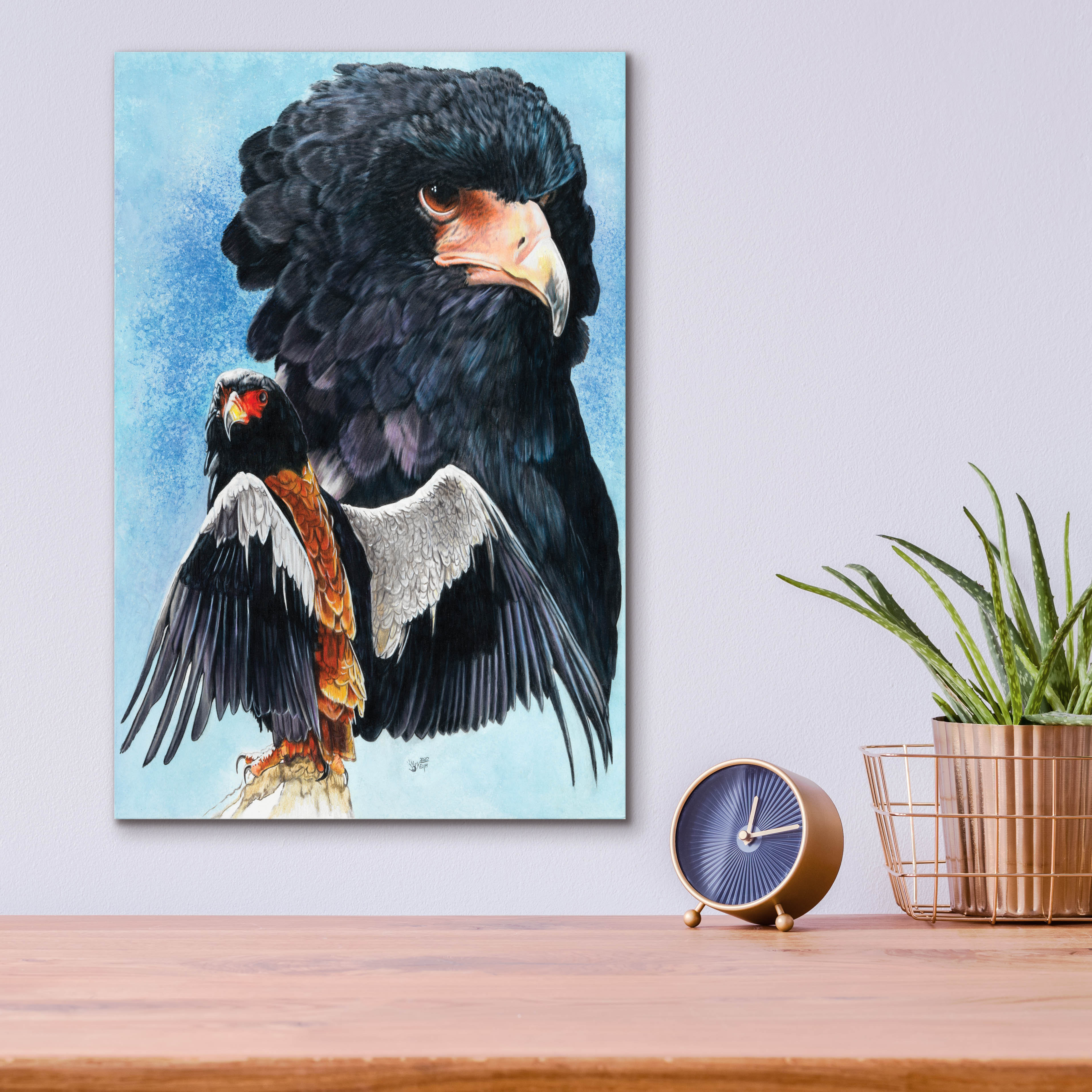 Millwood Pines Bateleur Eagle by Barbara Keith - Print - Wayfair Canada