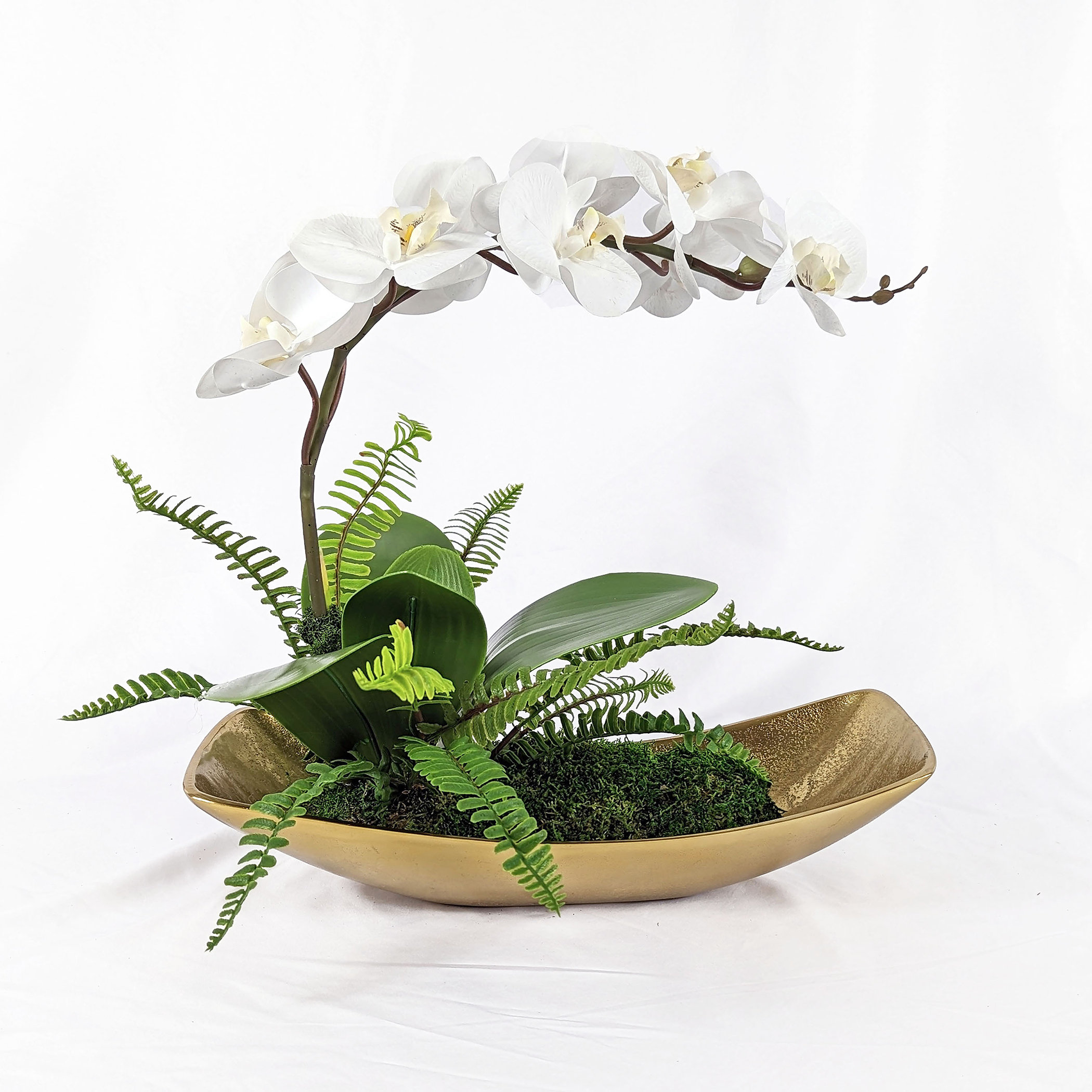 Gracie Oaks Brenau 16" Preserved Orchid Plant Stand in Pot | Wayfair