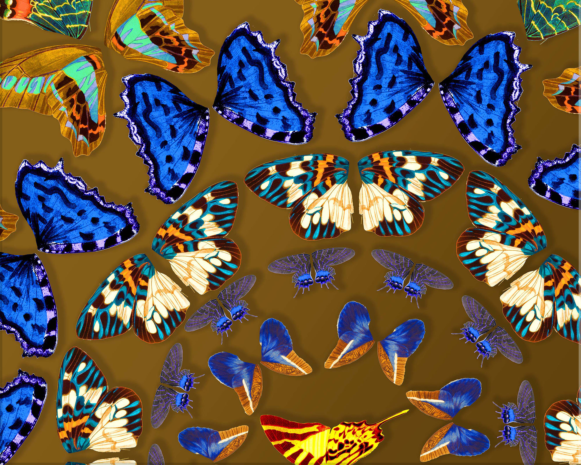 RFA Decor Fly Me to the Moon by Larry Laslo - Wrapped Canvas Mixed ...