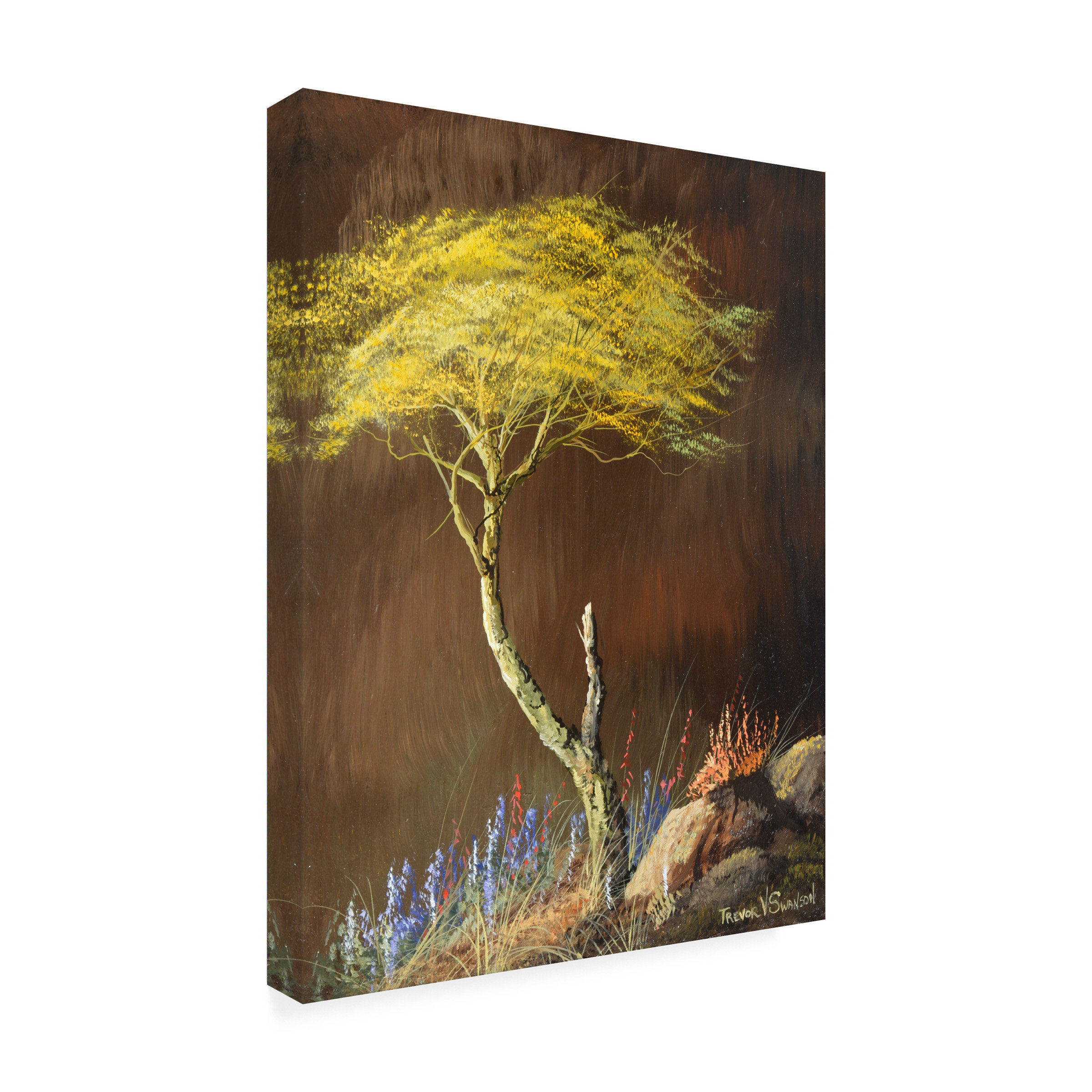 Winston Porter Trevor V. Swanson 'Desert Riot' Canvas Art - Wayfair Canada