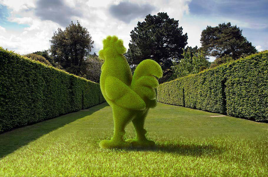 Decor Factory Studio Outdoor Animal Rooster Topiary Green Figures | Wayfair