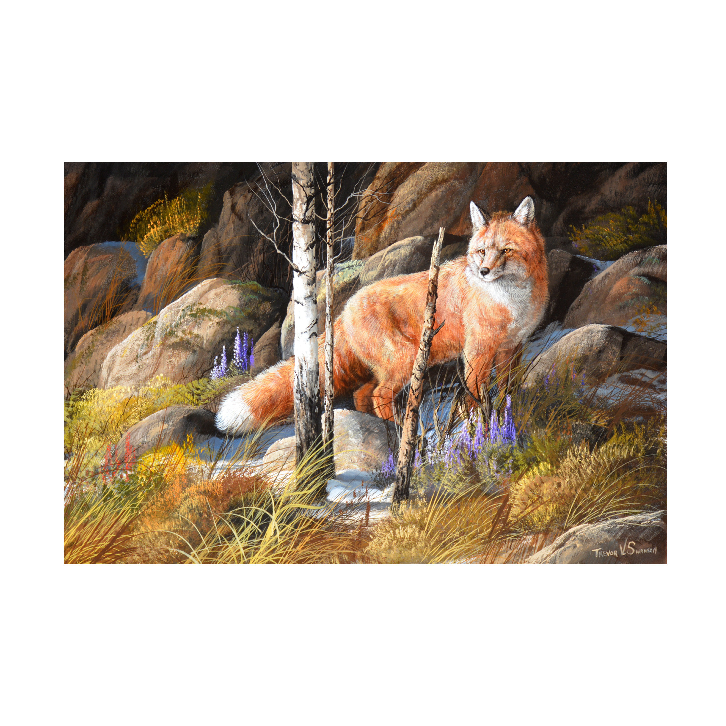 Millwood Pines Brief Glimpse Through Cover by Trevor V. Swanson Canvas ...