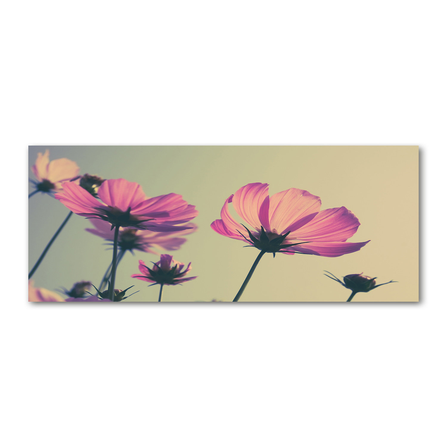 Brayden Studio Pink Flowers - Unframed Art Prints on Canvas | Wayfair.co.uk