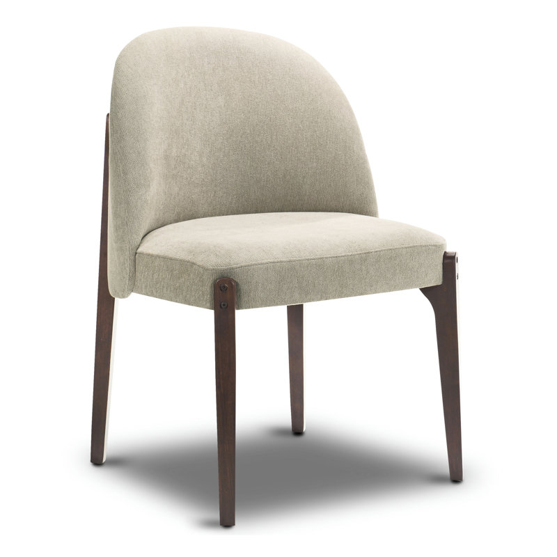 AllModern Frances Dining Chair (set of 2) & Reviews | AllModern