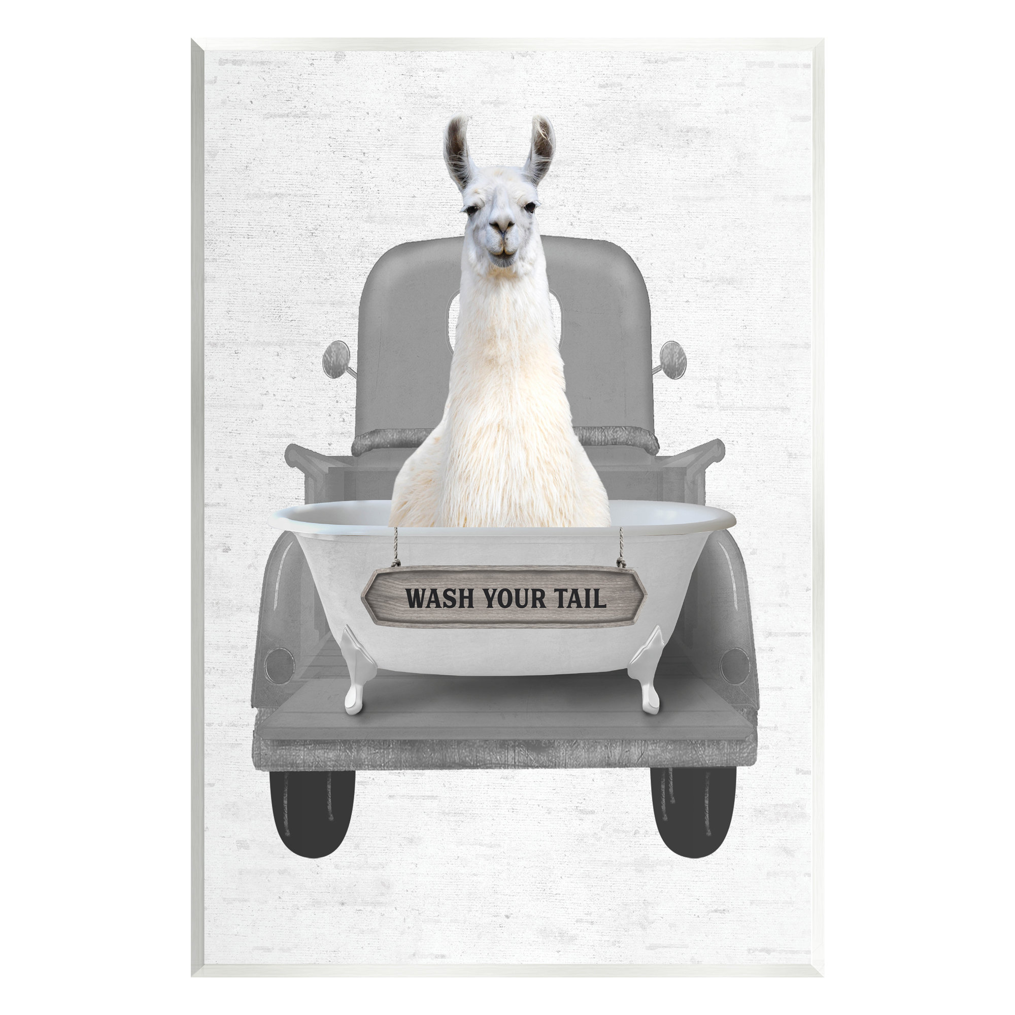 Stupell Industries Wash Your Tail Llama Wall Plaque Art Design By ...