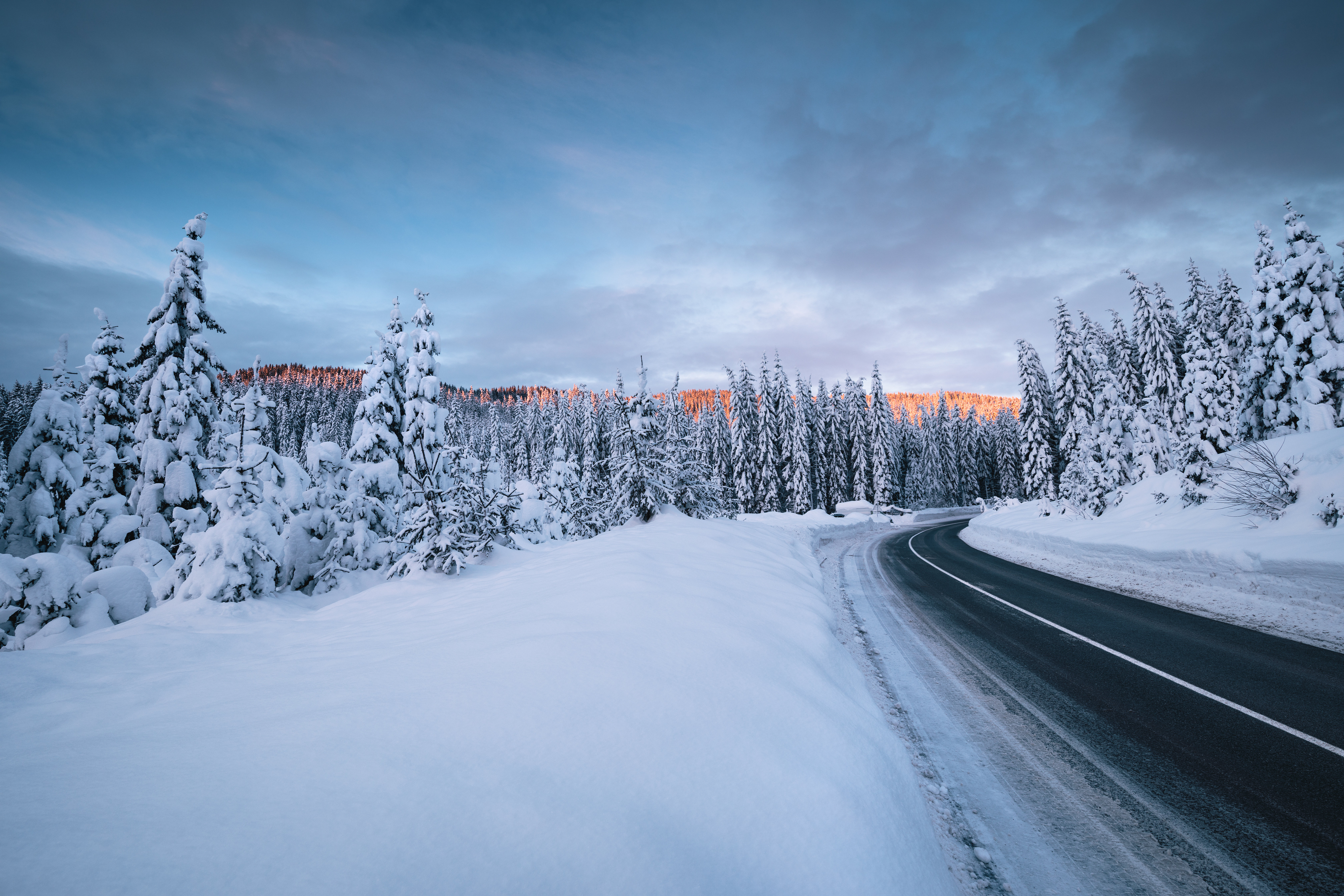 Ebern Designs Winter Road at Sunrise by Borchee | Wayfair
